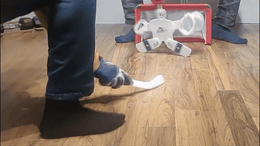 Nova Hockey Set: Your Complete Mini-Hockey Kit